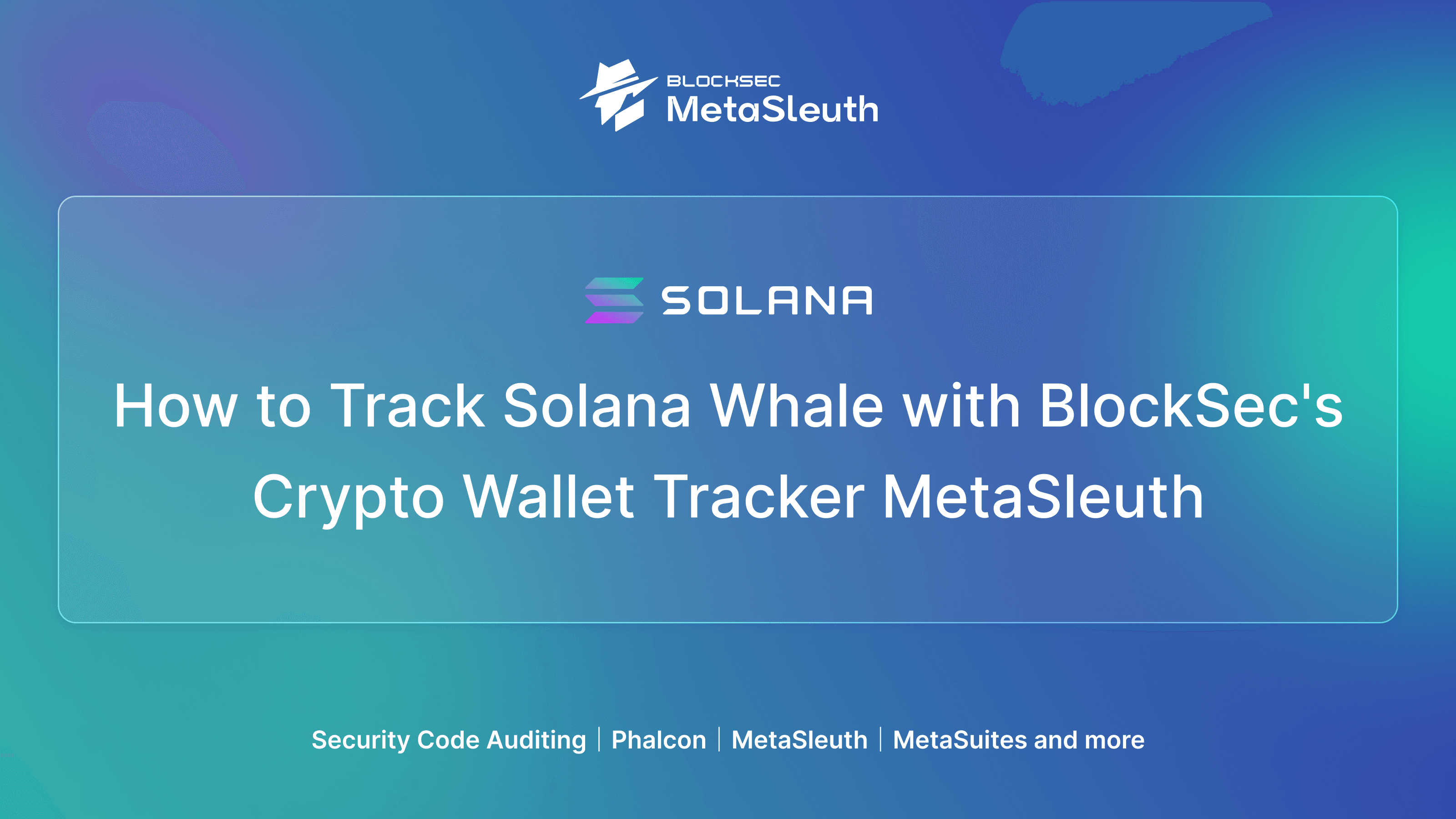 How To Track Solana Whale With Blocksecs Crypto Wallet Tracker Metasleuth Blocksec Blog